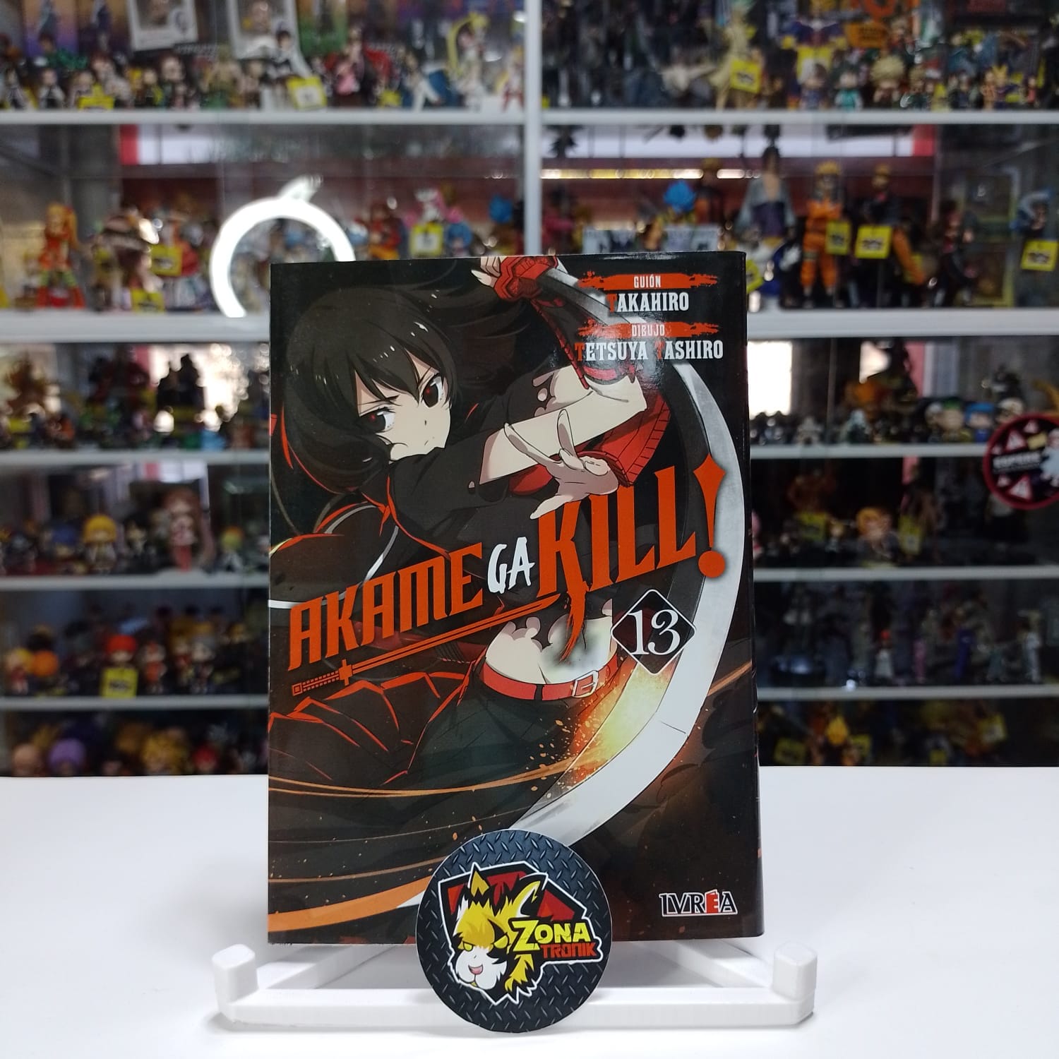 AKAME GA KILL 13